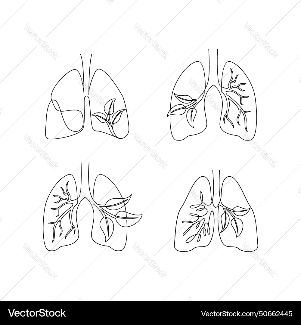 Lung single line drawing Royalty Free Vector Image