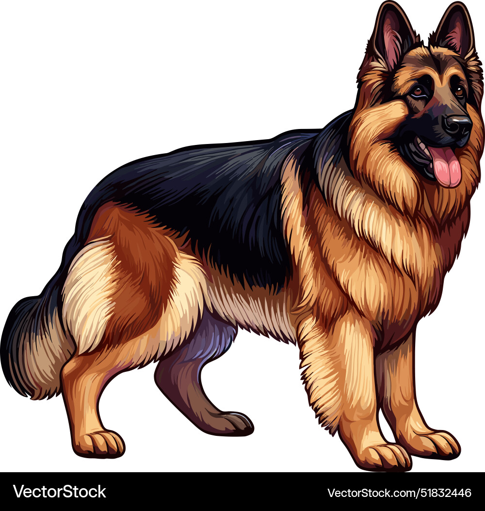 German shepherd majesty striking dog Royalty Free Vector
