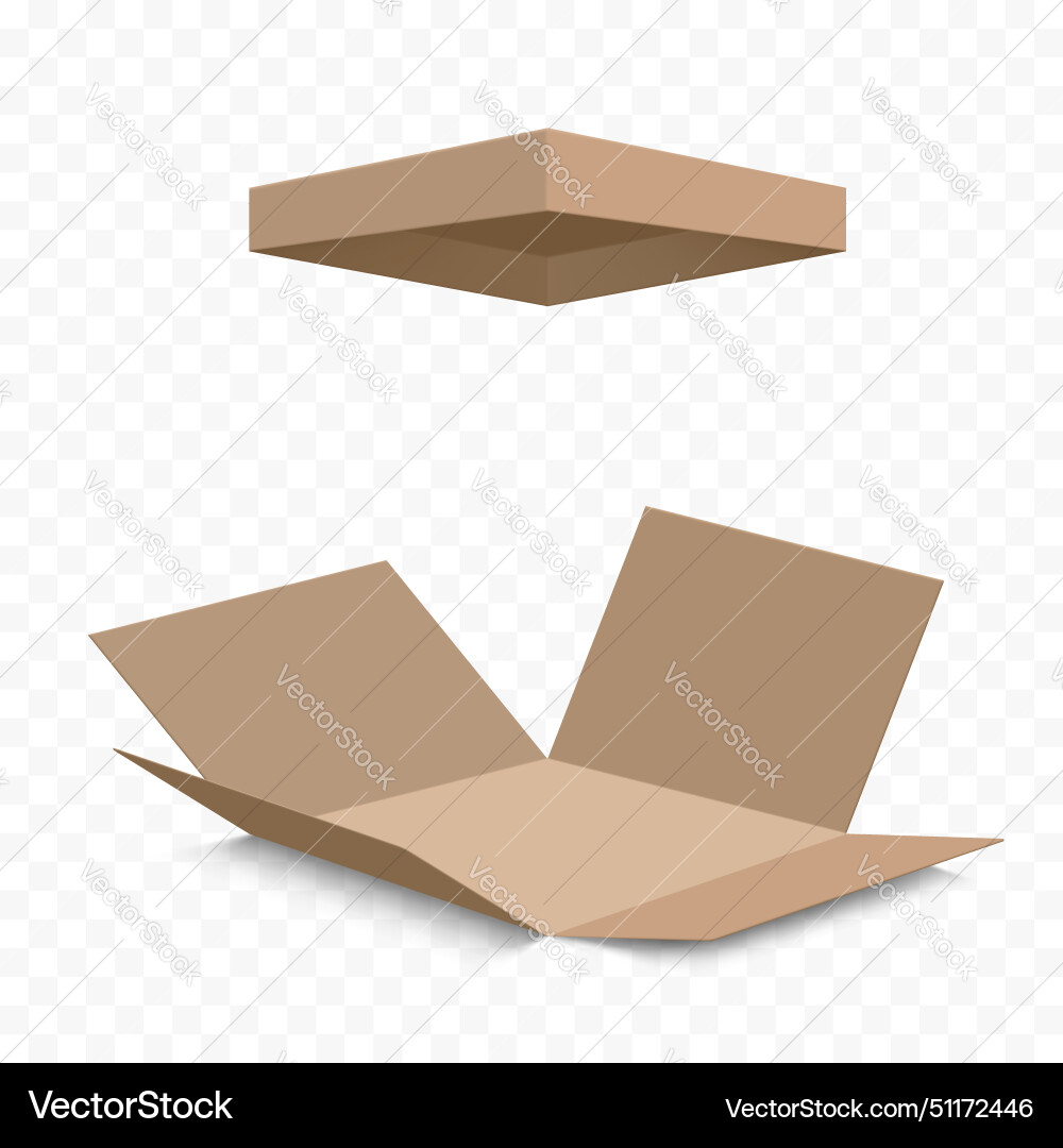 Opened cardboard box template Royalty Free Vector Image
