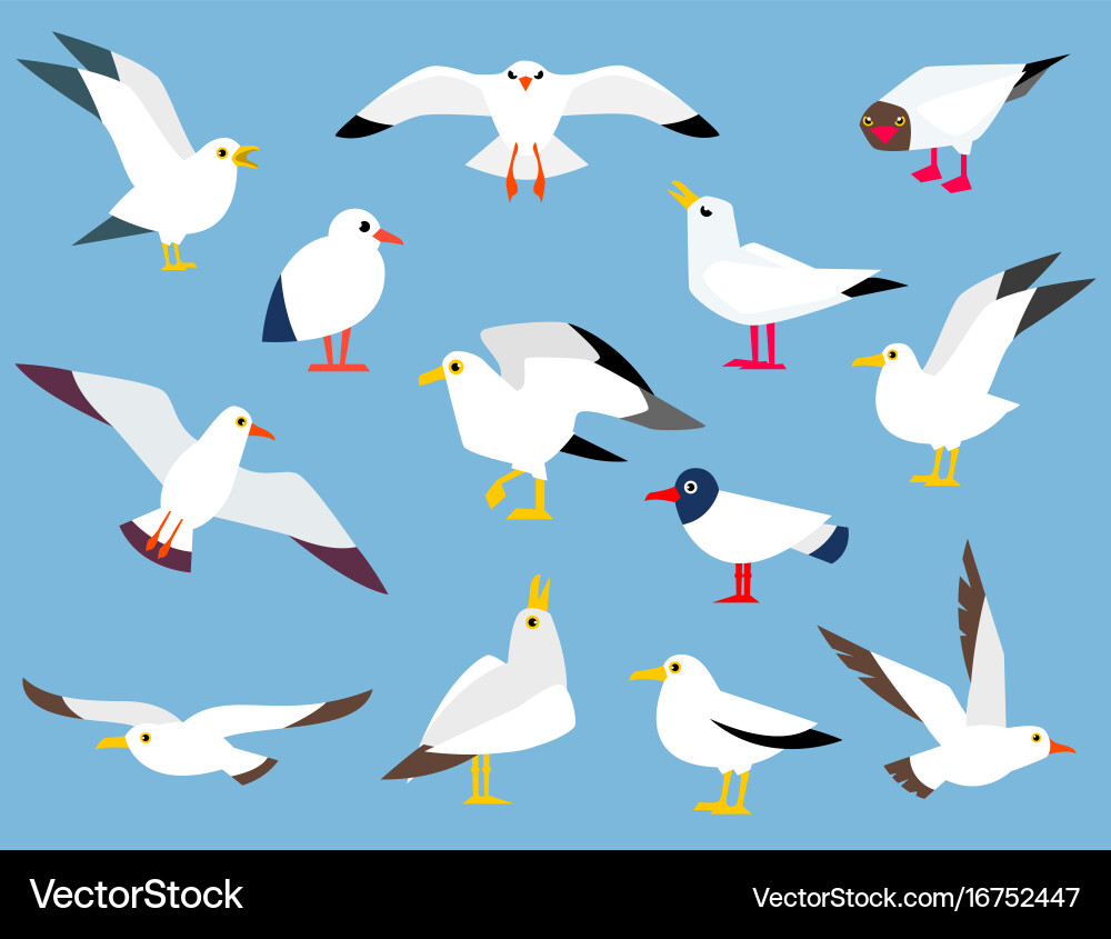 Cartoon atlantic seabird Royalty Free Vector Image