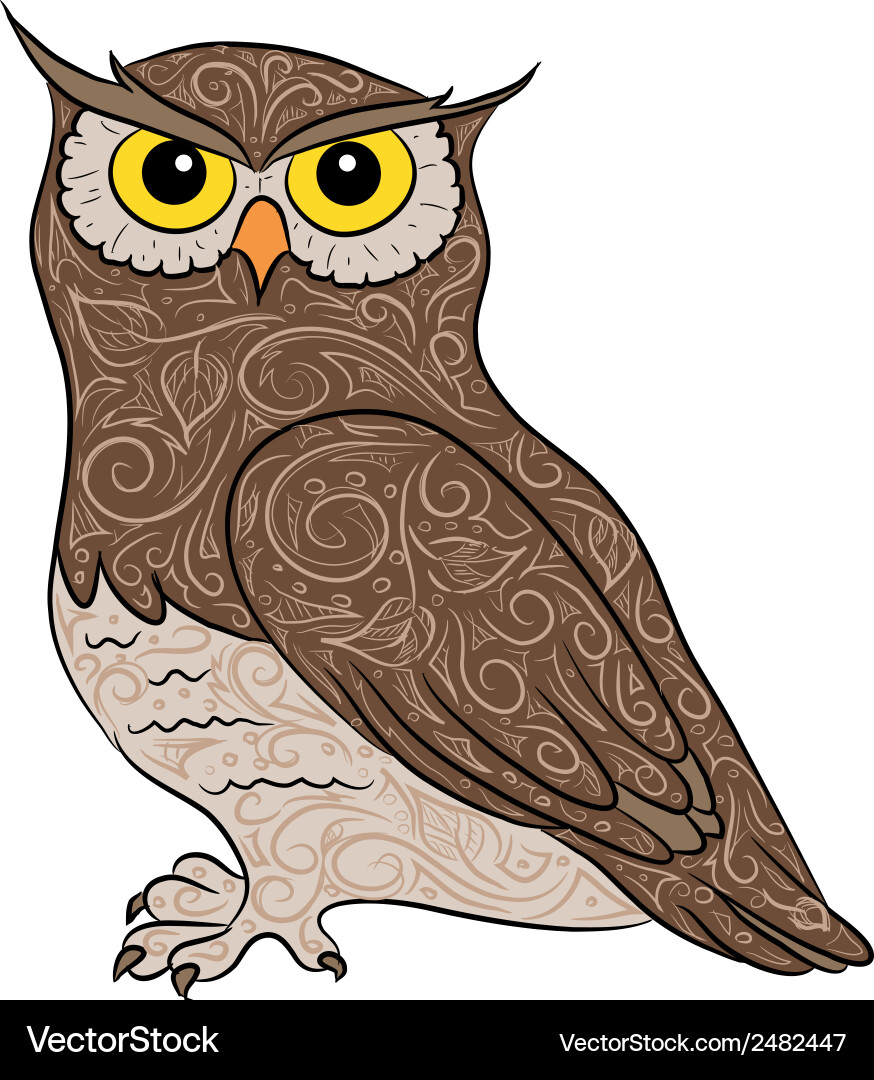 Hand drawing owl Royalty Free Vector Image - VectorStock