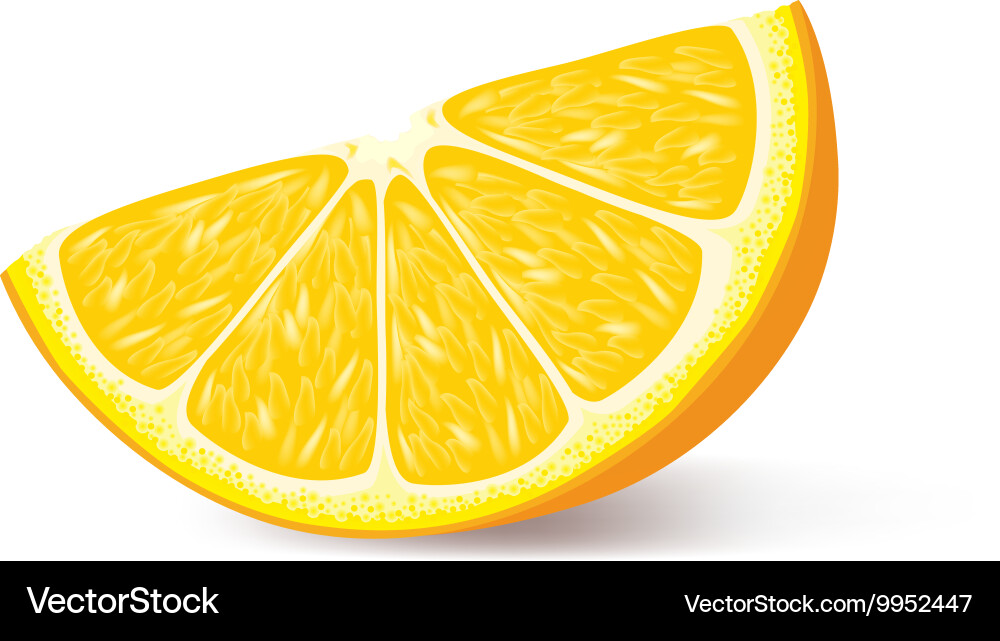 Orange Royalty Free Vector Image - VectorStock