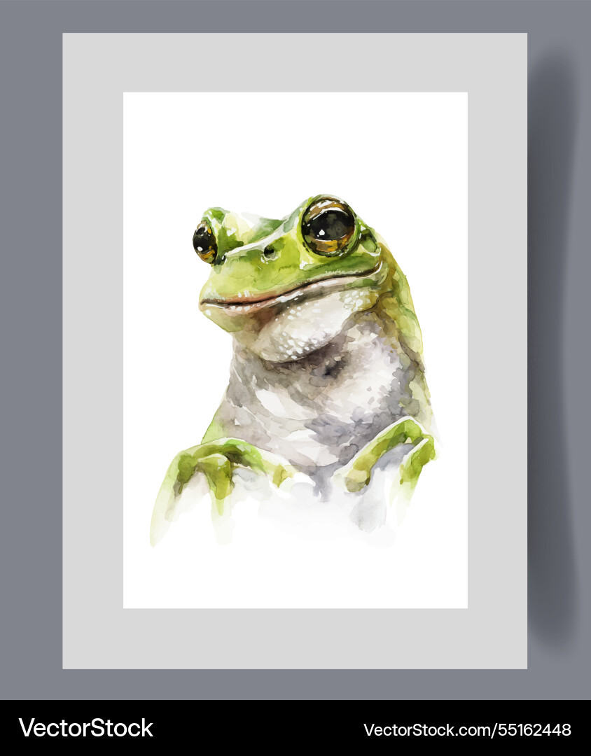 Green frog or toad with white neck and two Vector Image