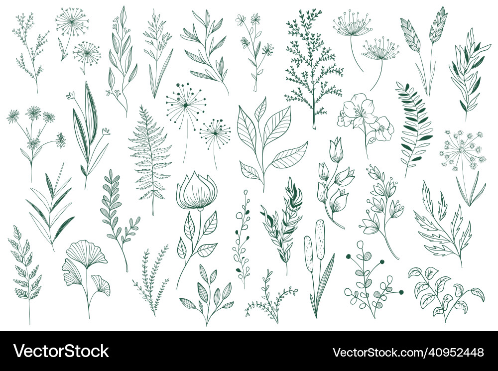 Hand drawn floral decorative elements set Vector Image