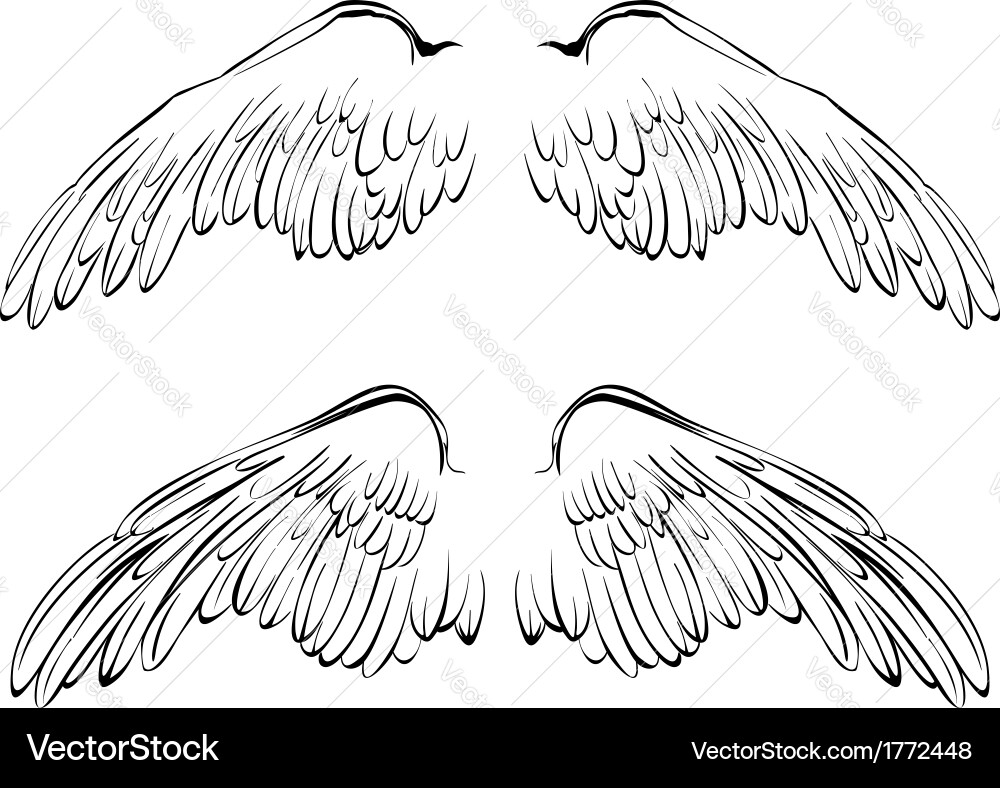 Wings sketch collection cartoon Royalty Free Vector Image