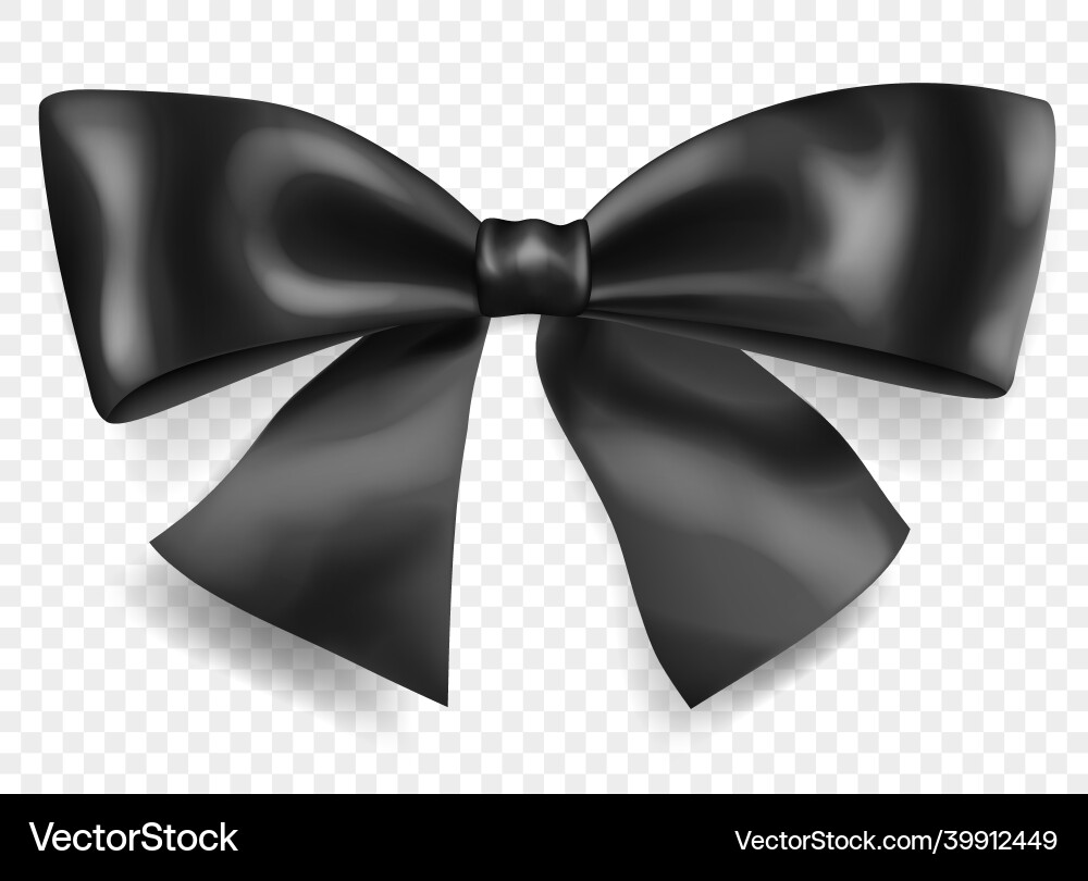 Beautiful big bow Royalty Free Vector Image - VectorStock