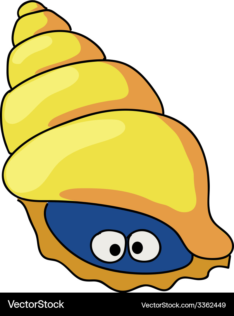 Cartoon shell colored Royalty Free Vector Image