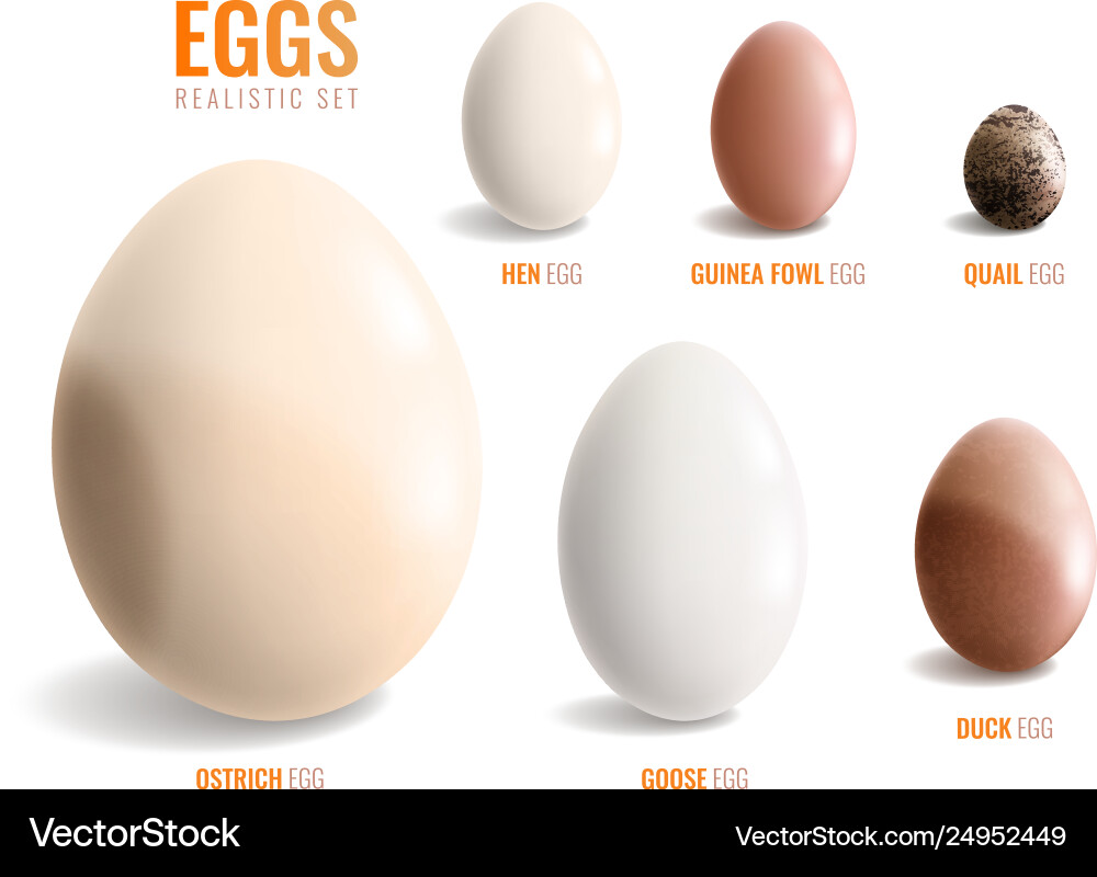 Colored realistic eggs icon set Royalty Free Vector Image
