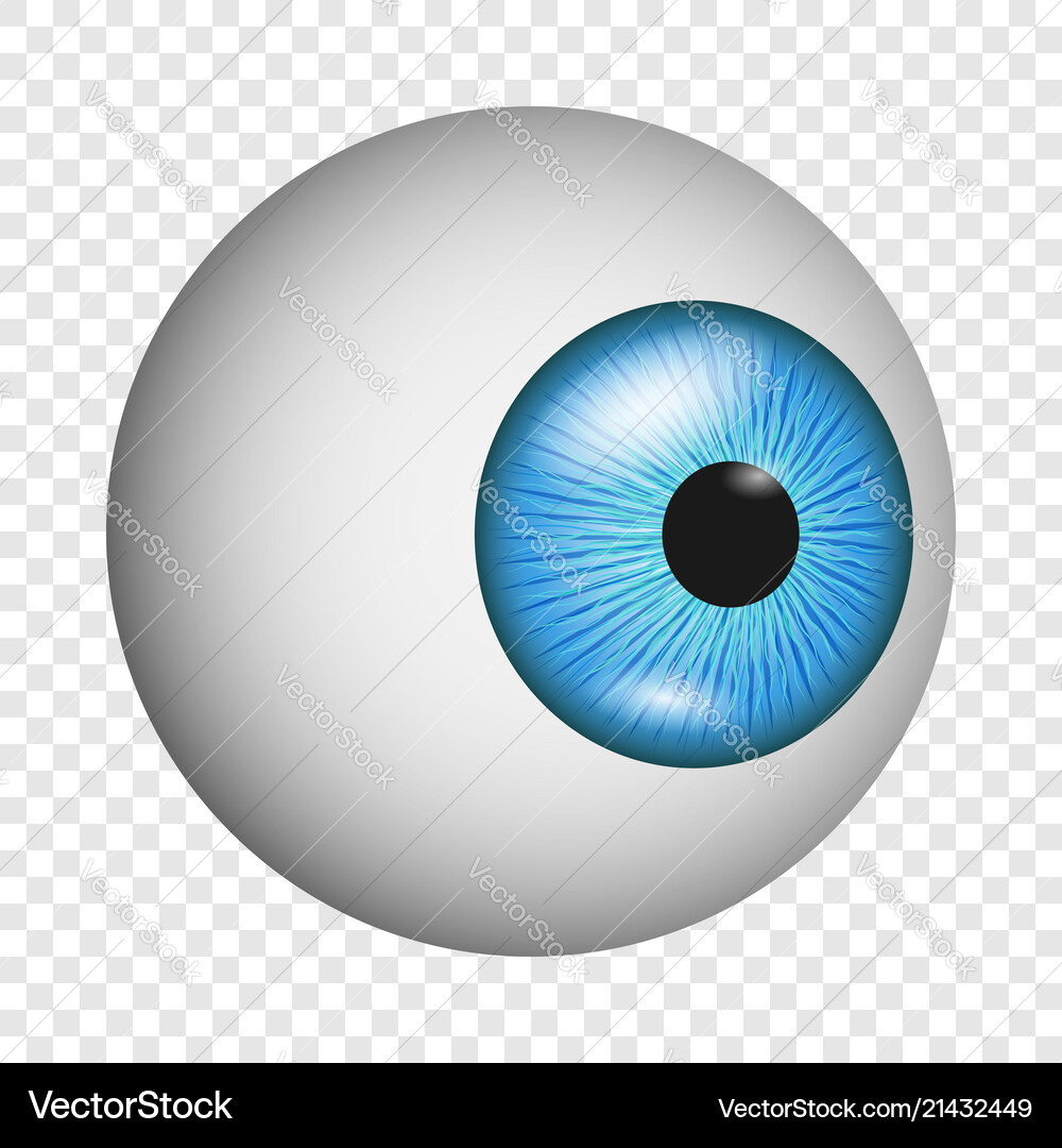 Eye anatomy icon realistic style Royalty Free Vector Image
