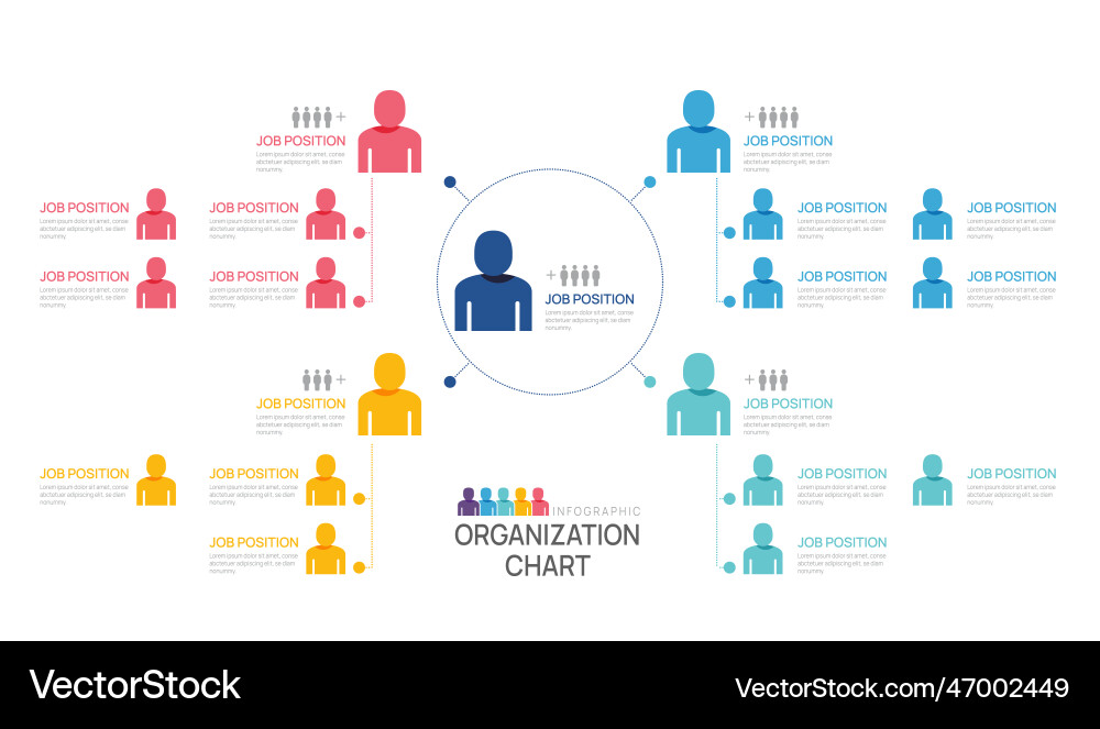 Infographic template for organization chart Vector Image