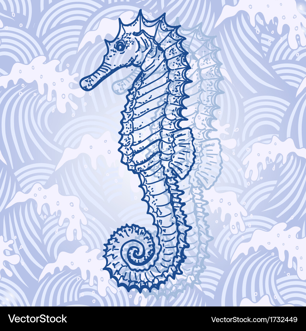 Seahorse Royalty Free Vector Image - VectorStock
