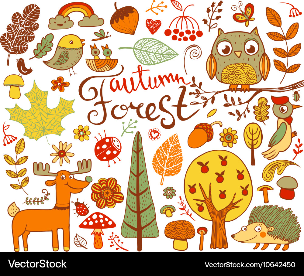 Autumn forest design elements in doodle style Vector Image