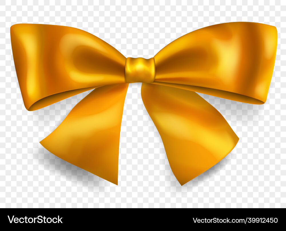 Beautiful big bow Royalty Free Vector Image - VectorStock