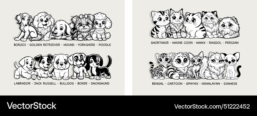 Diverse array of dog and cat breeds showcased Vector Image