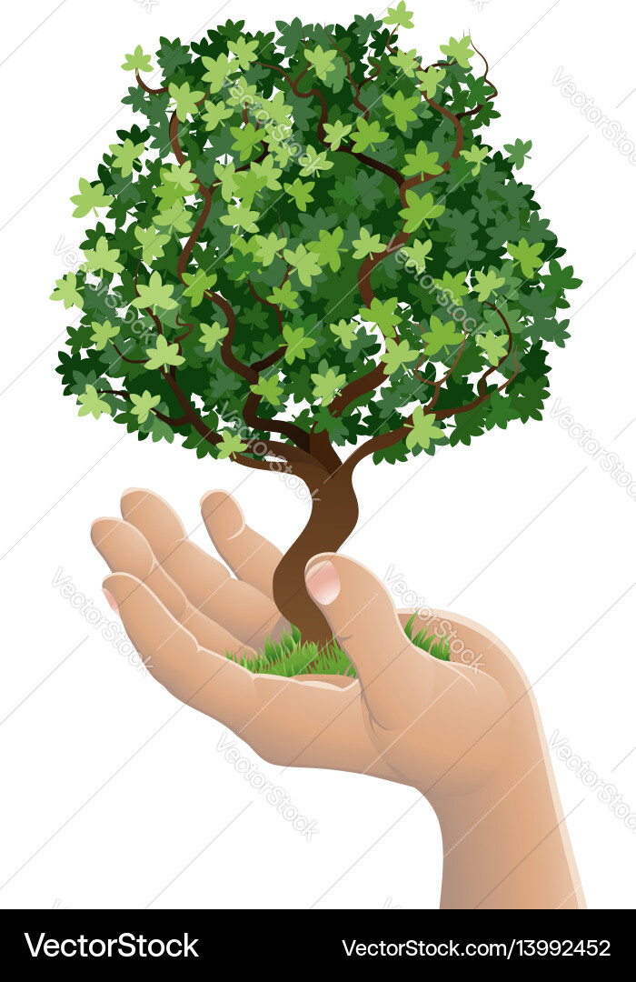 Hand holding a growing tree Royalty Free Vector Image