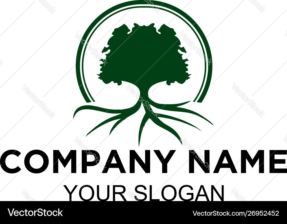 Oak tree with roots logo design Royalty Free Vector Image