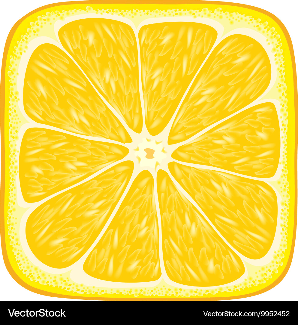 Orange Royalty Free Vector Image - VectorStock