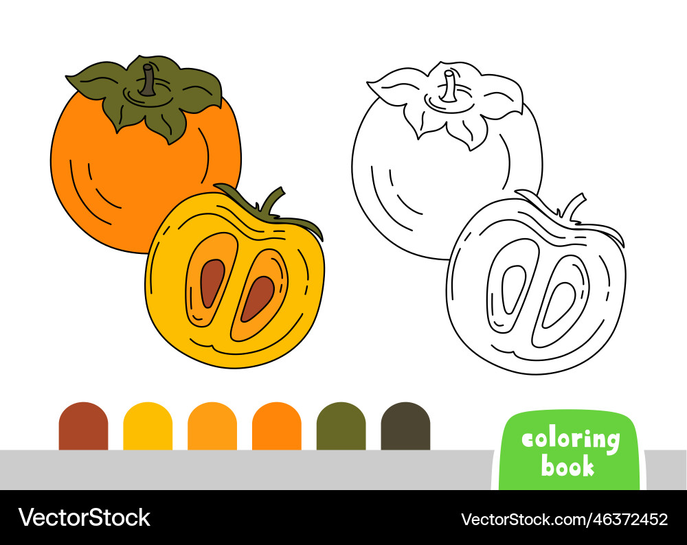 Persimmon Coloring Page for Kids Royalty Free Vector Image