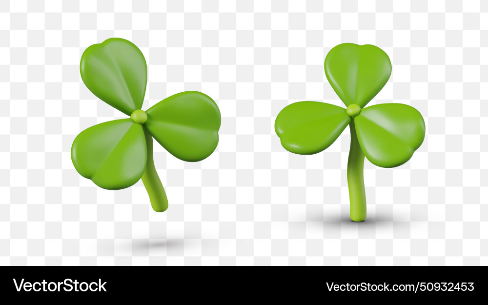 Realistic green shamrock fresh clover leaf Vector Image
