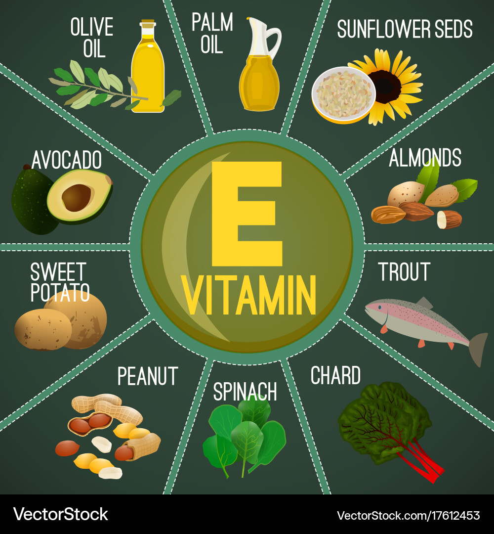 Vitamin e image Royalty Free Vector Image - VectorStock