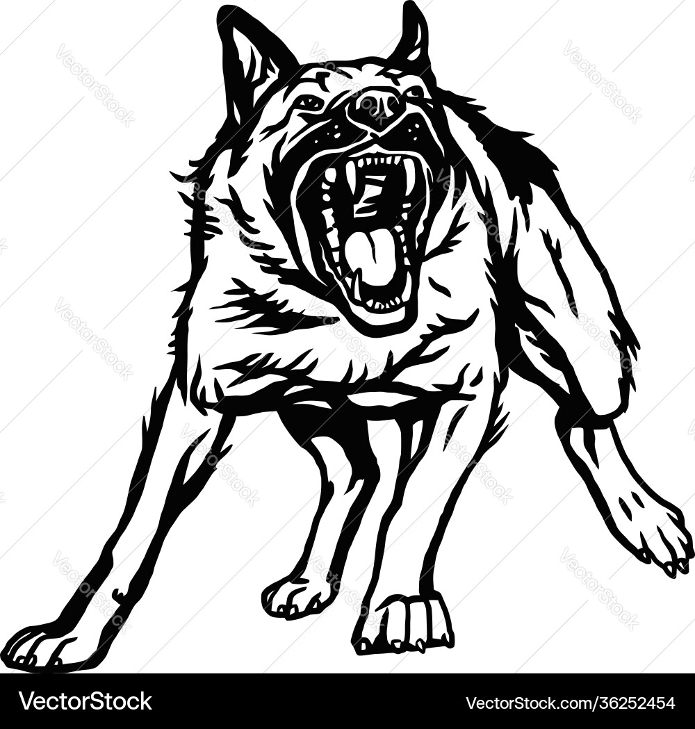 German shepherd in attack aggressive dog Vector Image