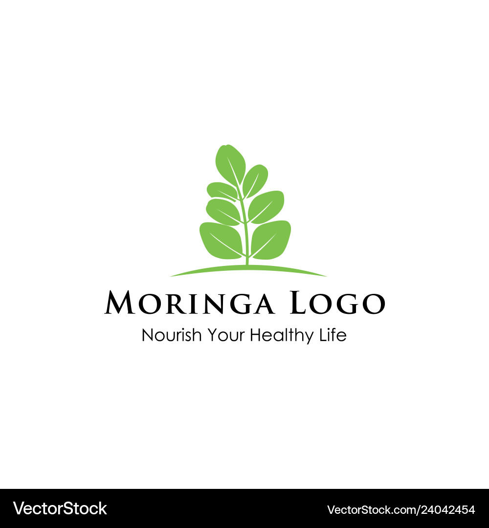 Moringa logo design Royalty Free Vector Image - VectorStock