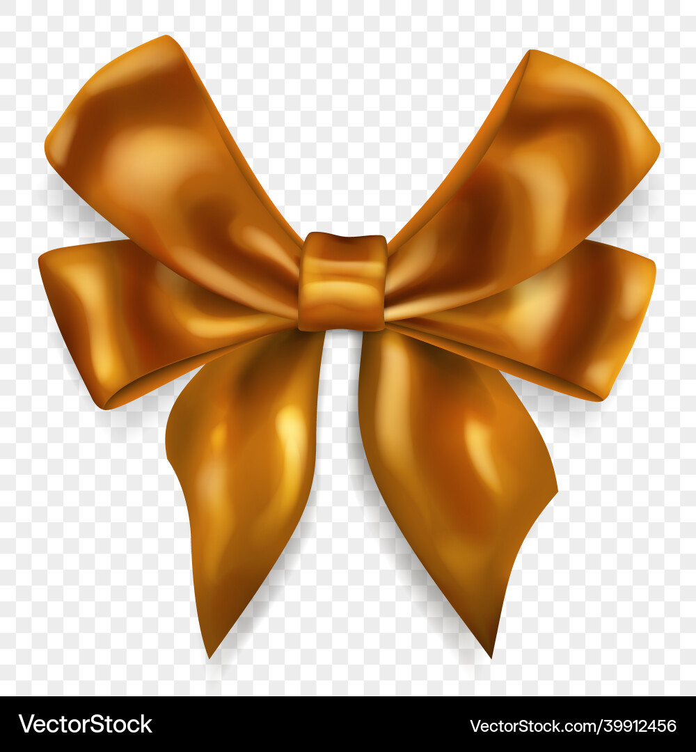 Beautiful big bow Royalty Free Vector Image - VectorStock