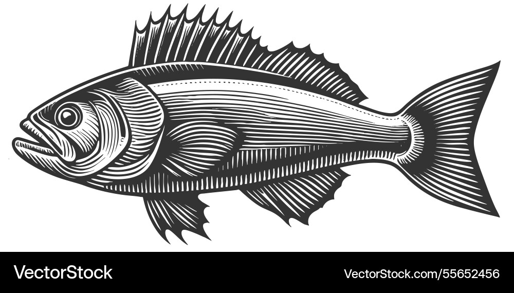 Tropical fish underwater Royalty Free Vector Image