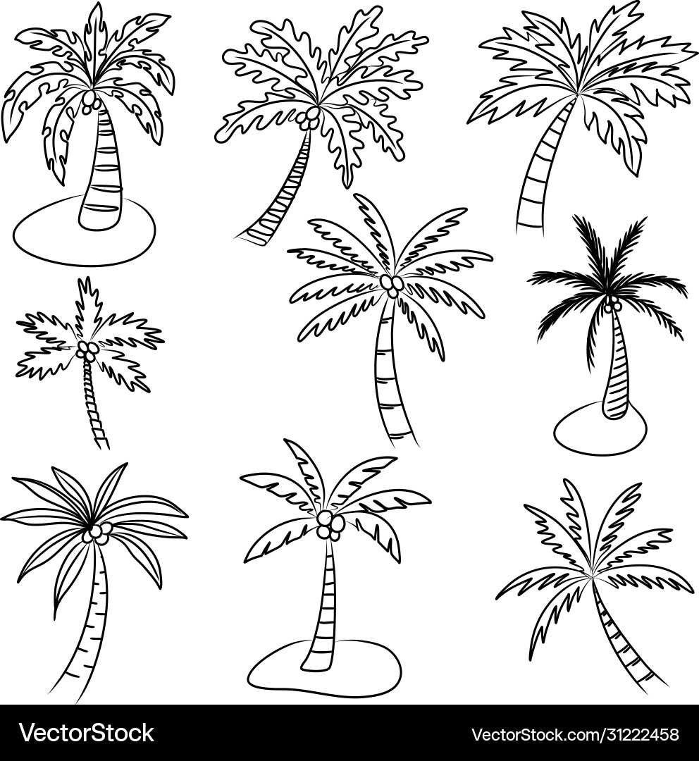 Set hand drawn coconut tree isolated on white Vector Image