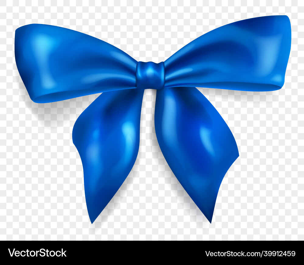 Beautiful big bow Royalty Free Vector Image - VectorStock