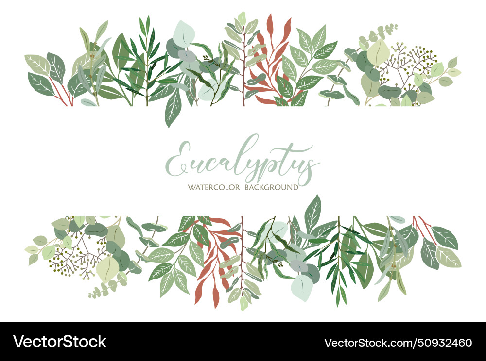 Border frame with green leaves of eucalyptus Vector Image