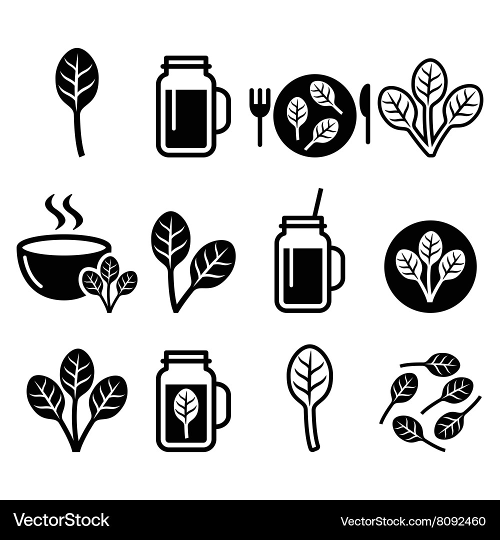 Green Smoothie Icons - Spinach Collection Vector Image