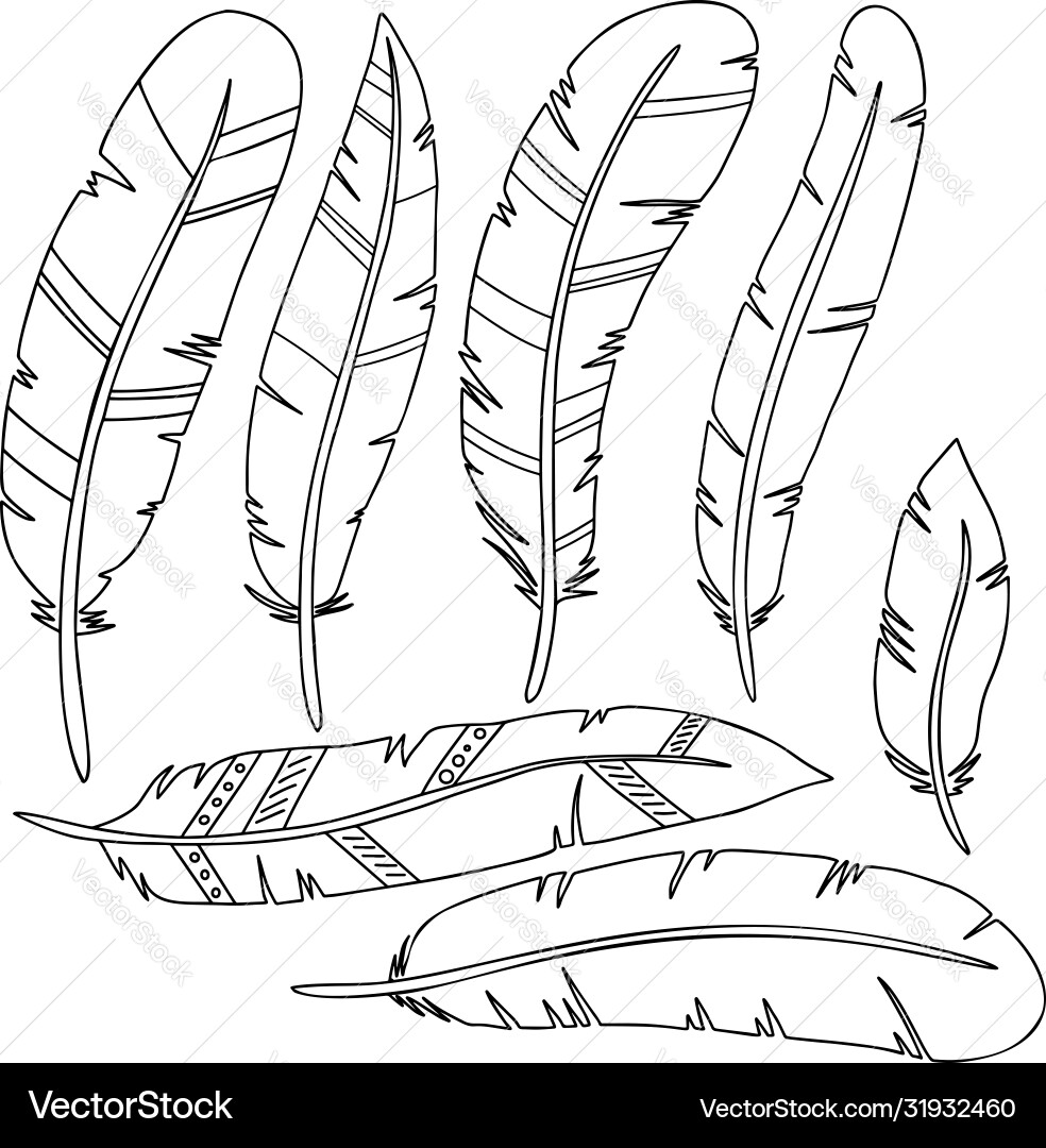 Isolated Feather Line Art Set Royalty Free Vector Image