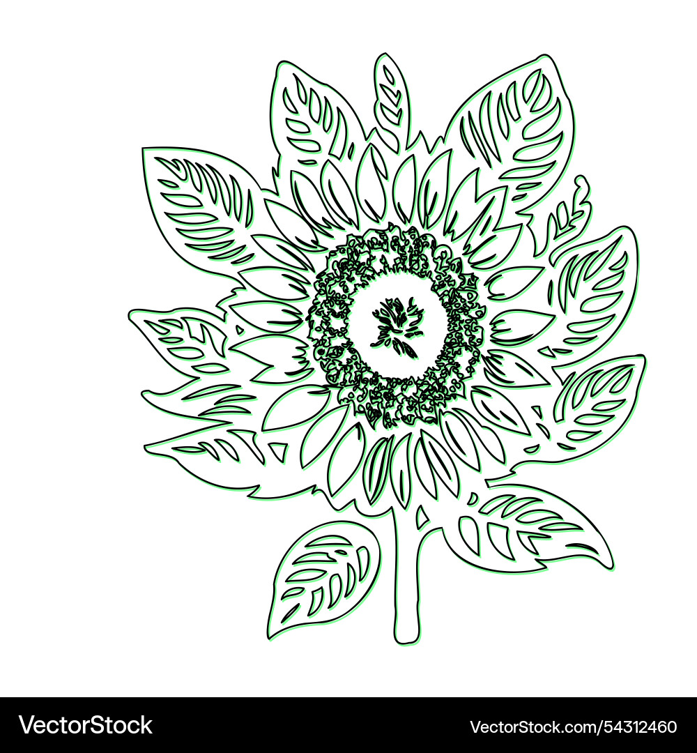 Line art sunflower Royalty Free Vector Image - VectorStock