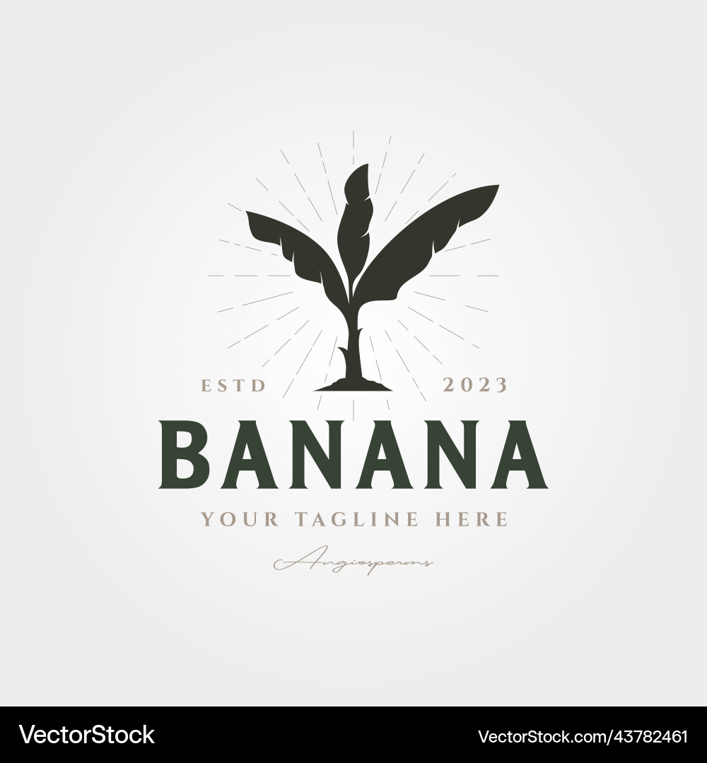 Banana tree logo symbol design with sunburst Vector Image