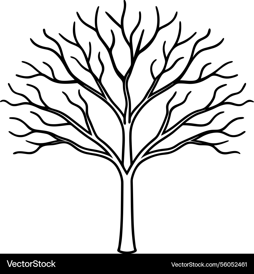 Elegant bare tree line drawing - autumn and fall Vector Image