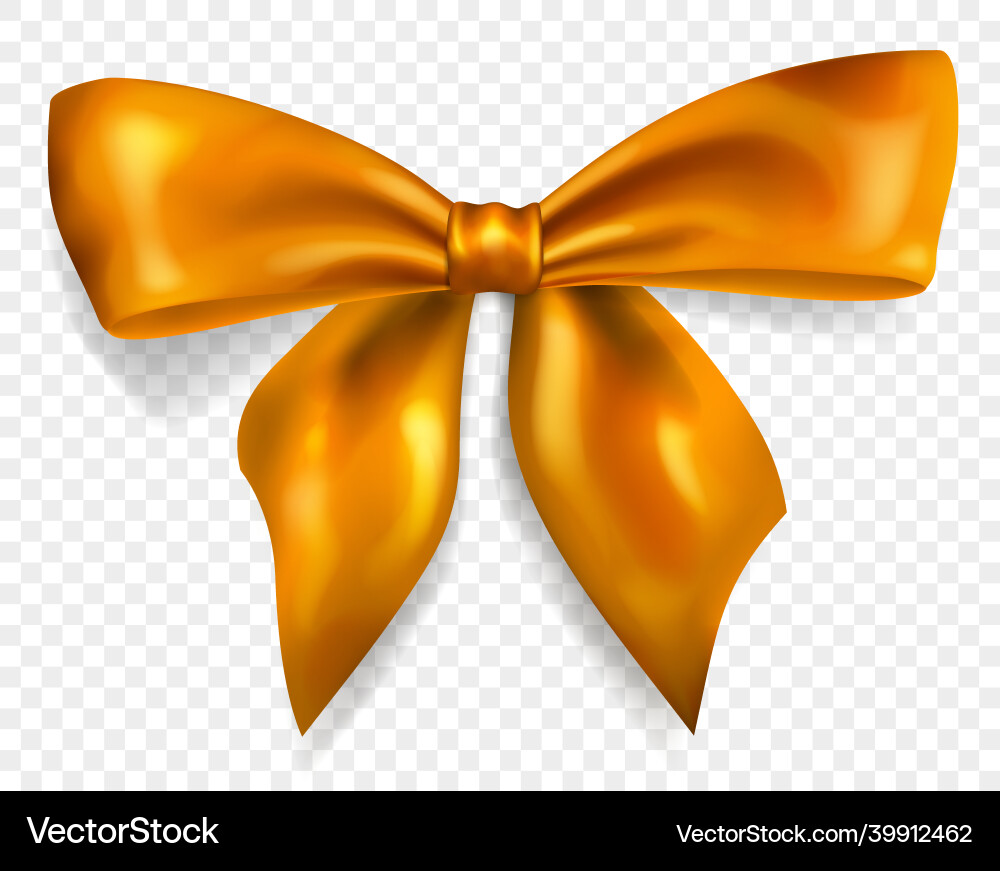 Beautiful big bow Royalty Free Vector Image - VectorStock