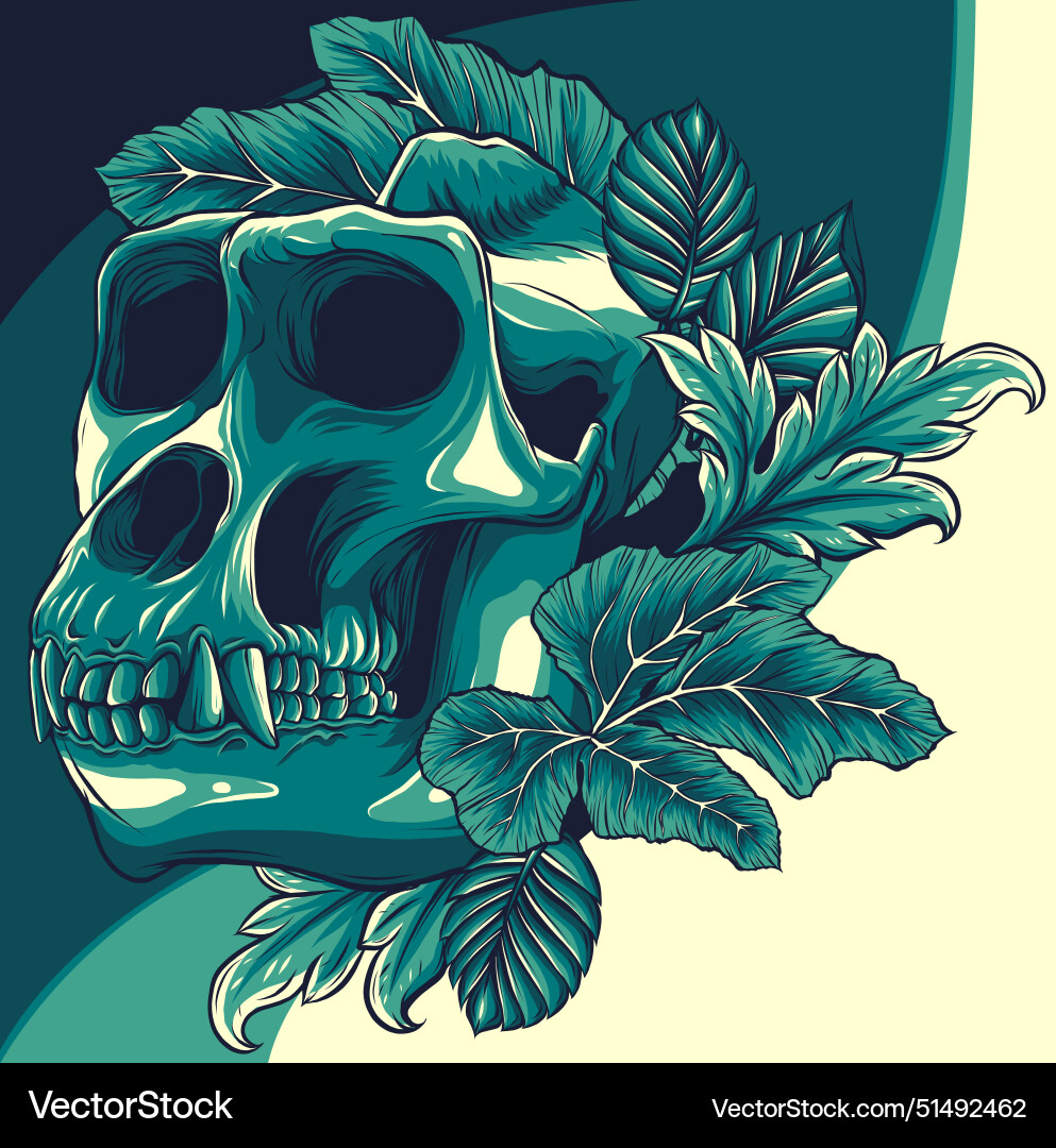 Gorilla monkey skull Royalty Free Vector Image