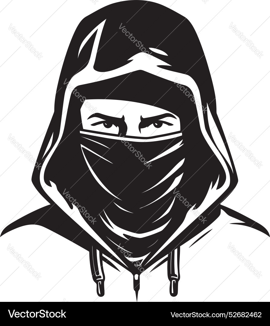 Midnight mystery concealed identity and symbolic Vector Image