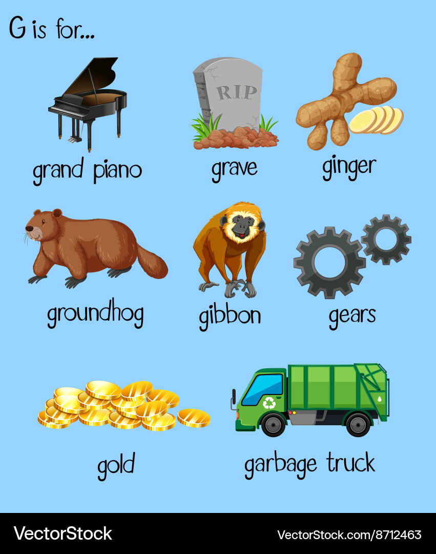 Alphabet G Word Collection Royalty Free Vector Image