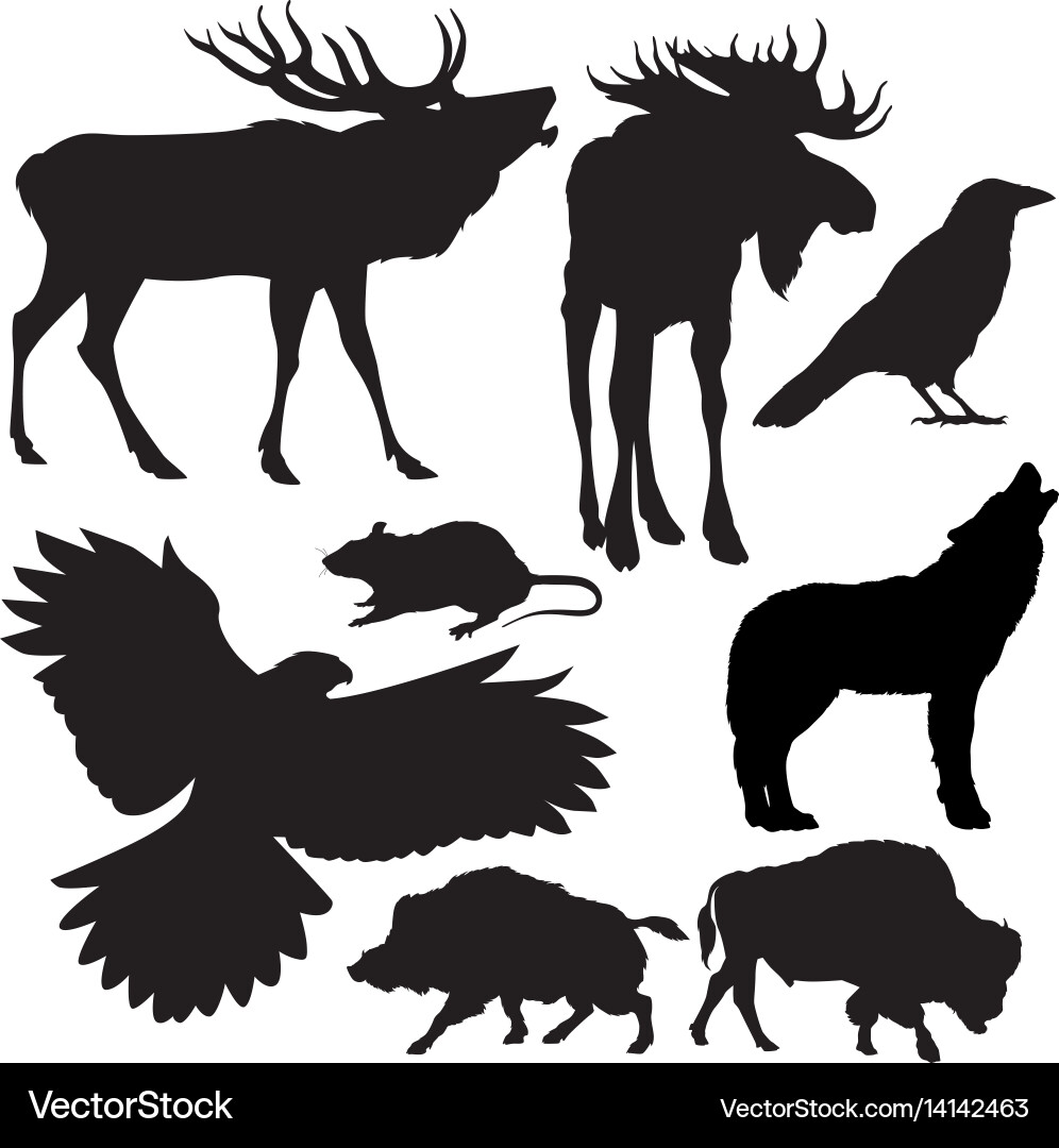 Animals Royalty Free Vector Image - VectorStock