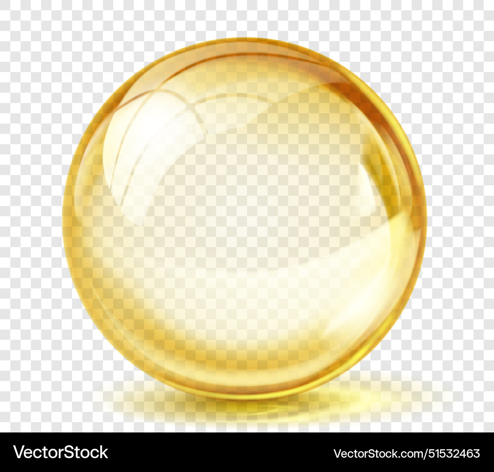 Translucent sphere with glare and shadow Vector Image