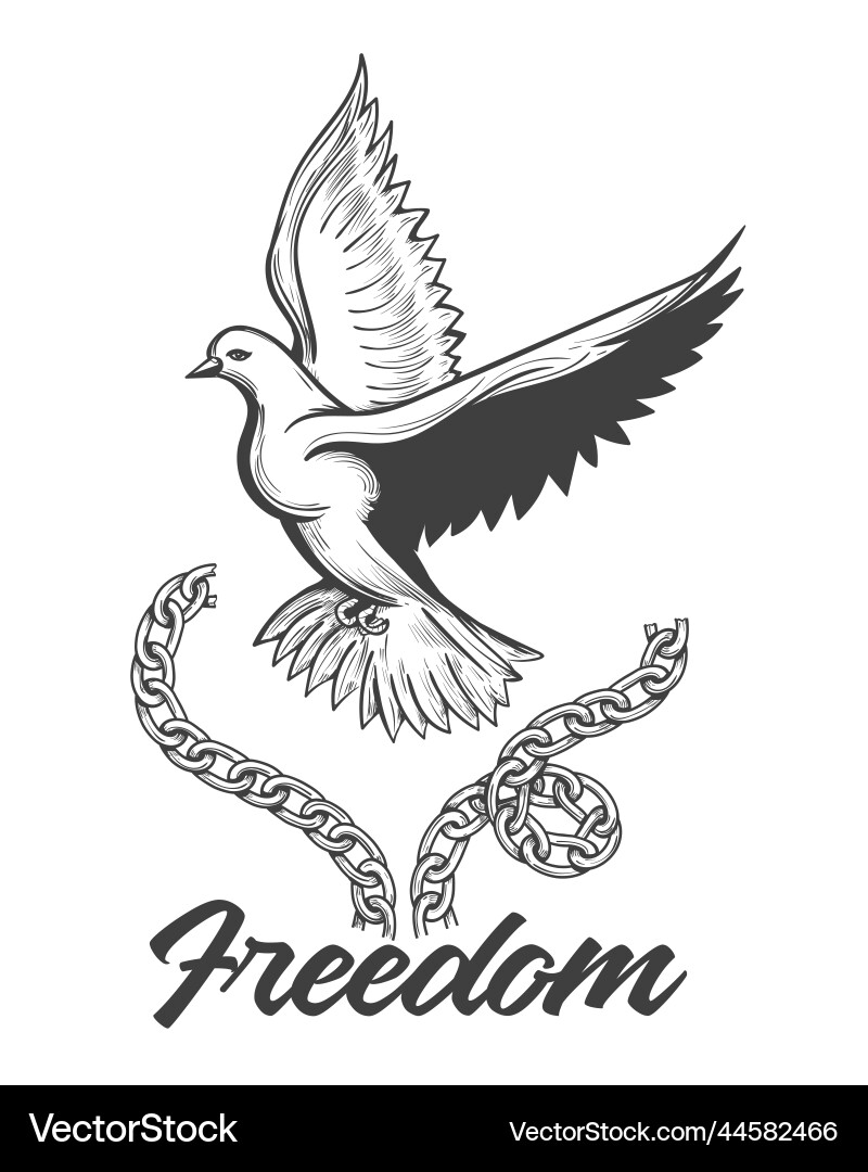 Flying dove and broken chains tattoo Royalty Free Vector