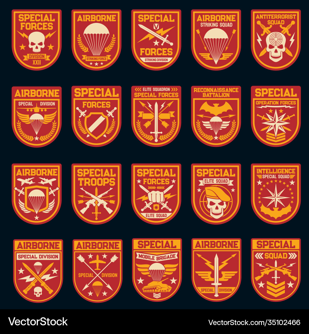 Military patches special operation and air forces Vector Image