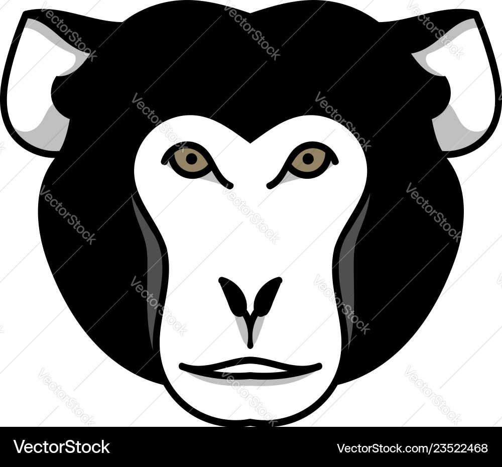 Monkey Royalty Free Vector Image - VectorStock