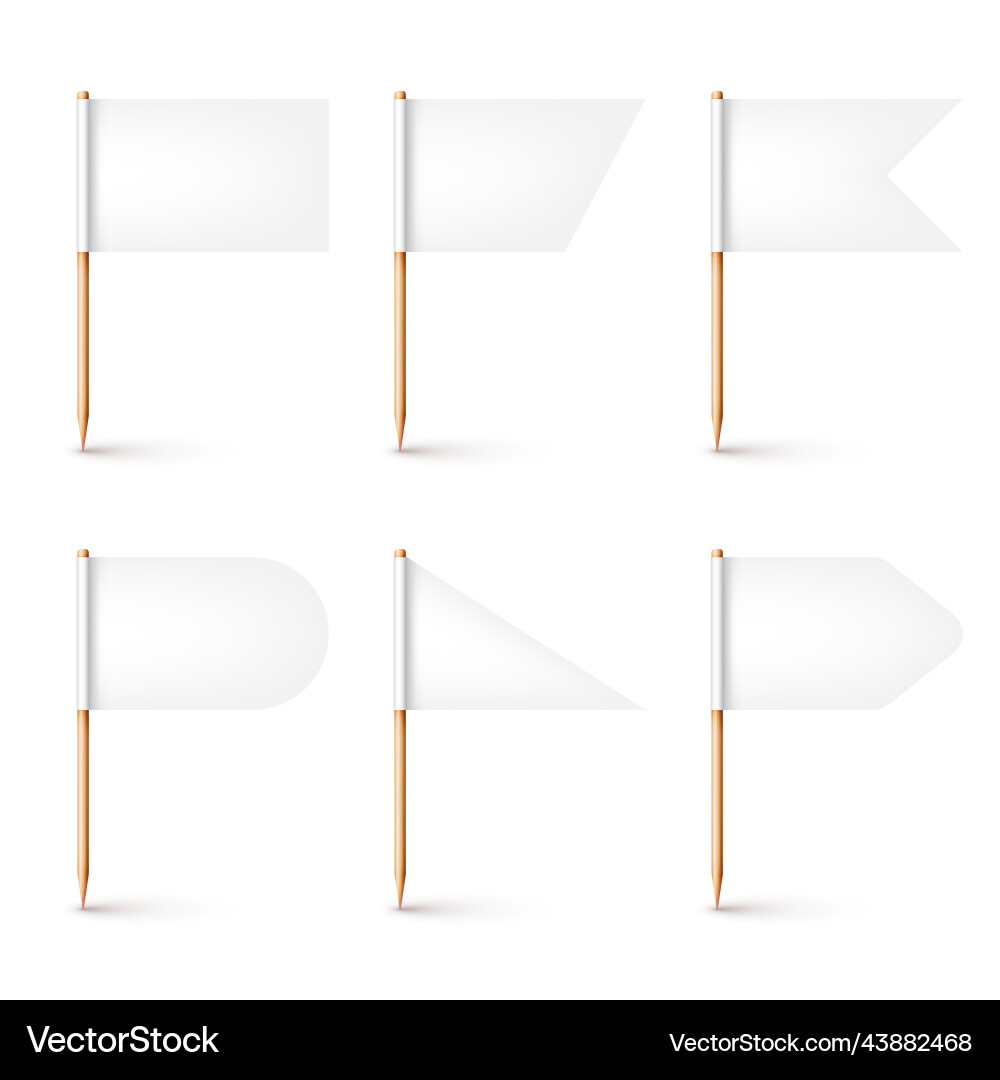 Realistic various toothpick flags wooden Vector Image