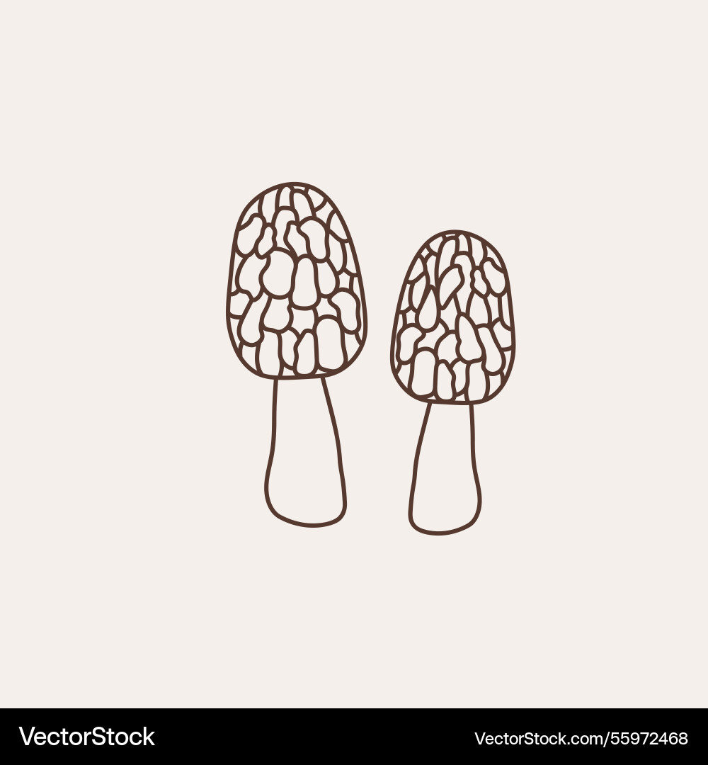With morel mushrooms Royalty Free Vector Image