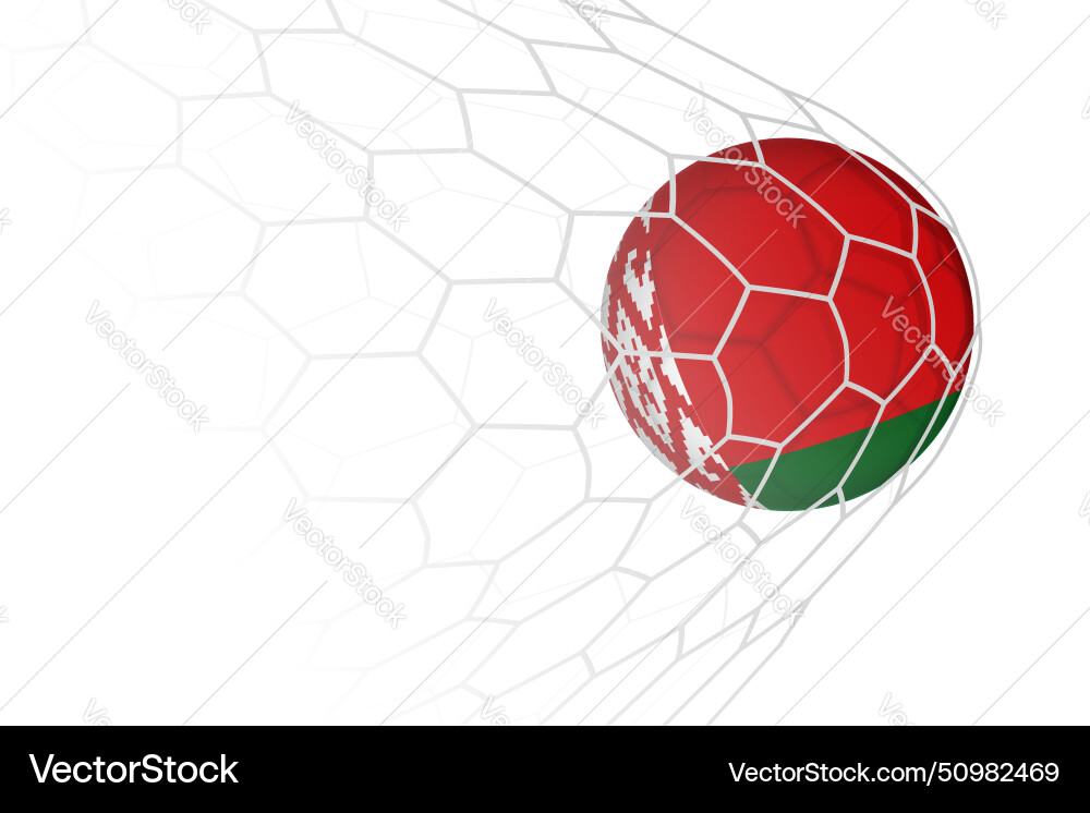 Belarus flag soccer ball in net Royalty Free Vector Image