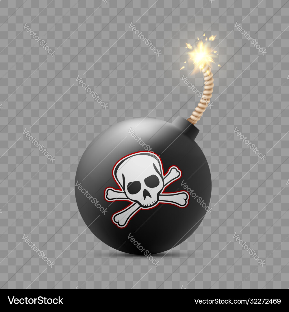 Round bomb with explosive fuse Royalty Free Vector Image