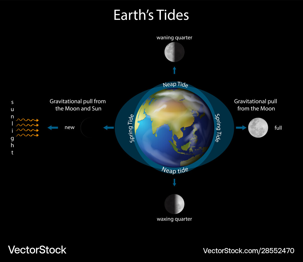 Moon And Tides Diagram Moon Sun Tides Stock Illustrations – 48 Moon